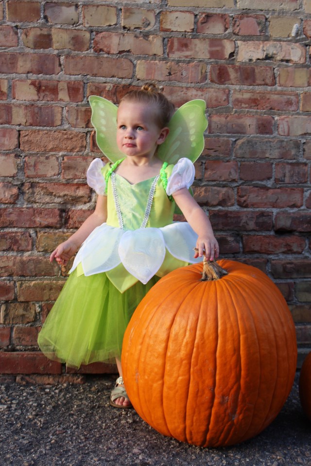Tinkerbell: Simplicity 1792 – The Sara Project