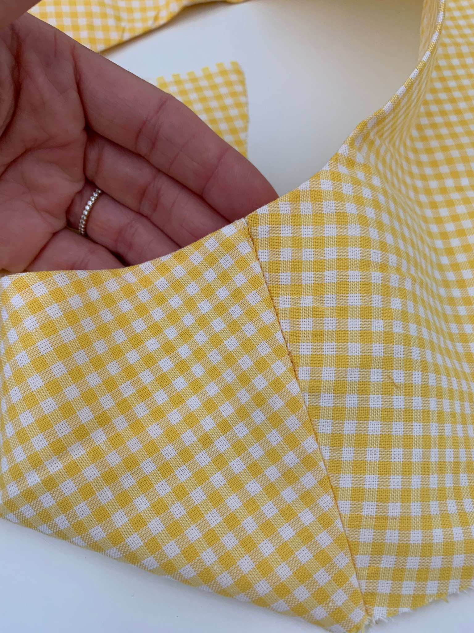 Back to Sewing Basics with Baby Lock: Neckline Finishes – The Sara Project
