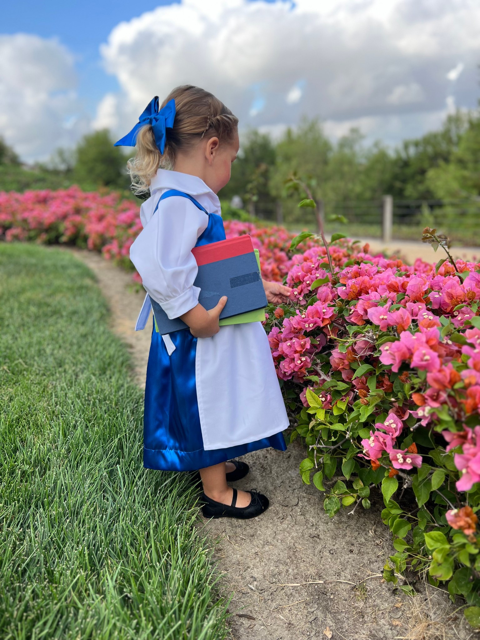 Belle Provincial Town Toddler Costume – The Sara Project